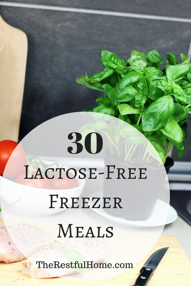 30 Lactose-Free Freezer Meal Ideas for Baby Mommas - The Restful Home