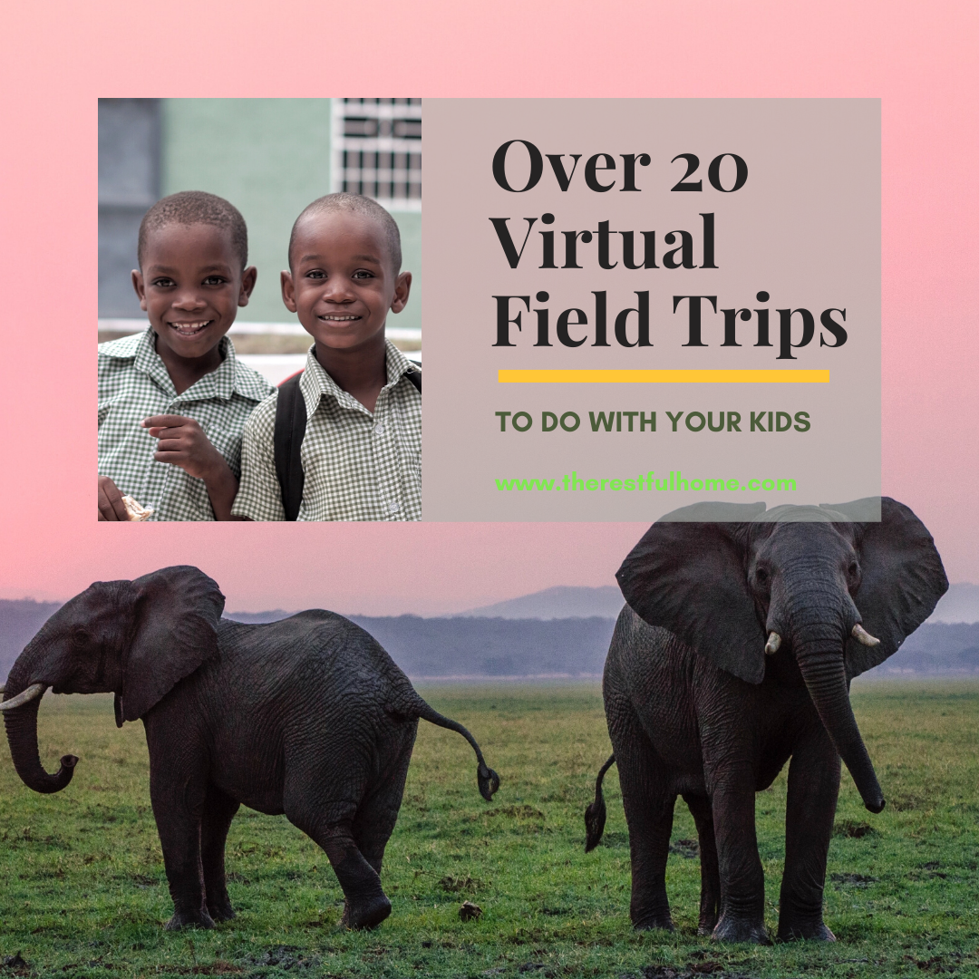 Over 20 Virtual Field Trips to Do With Your Kids - The Restful Home